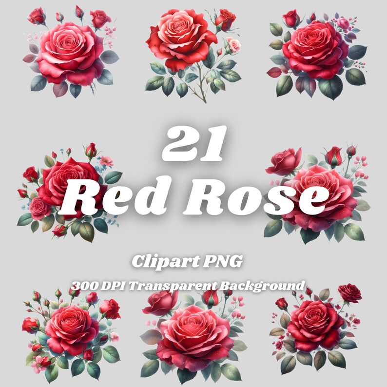 Red Rose PNG 21 Red Rose Clipart PNG Files, Transparent Background, 300 ...