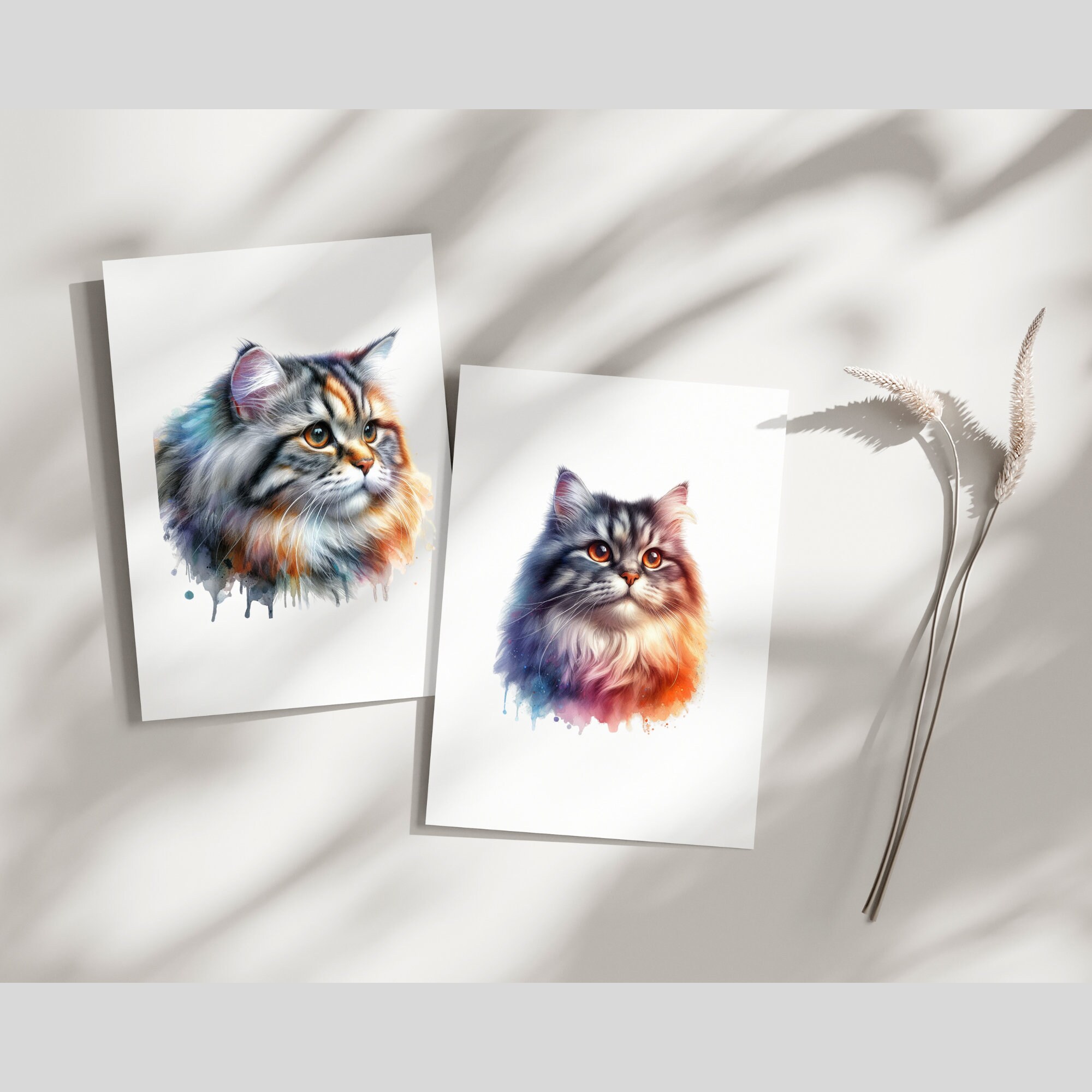 21 Cat Clipart PNG Files, Transparent Background, 300 DPI, Ideal for ...