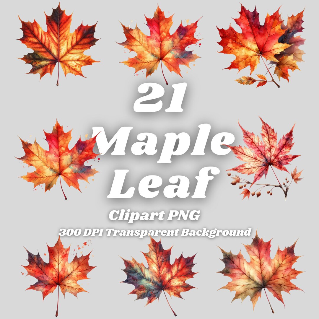 Maple Leaf Watercolor Clipart – Fall Foliage PNG Files (digital ...