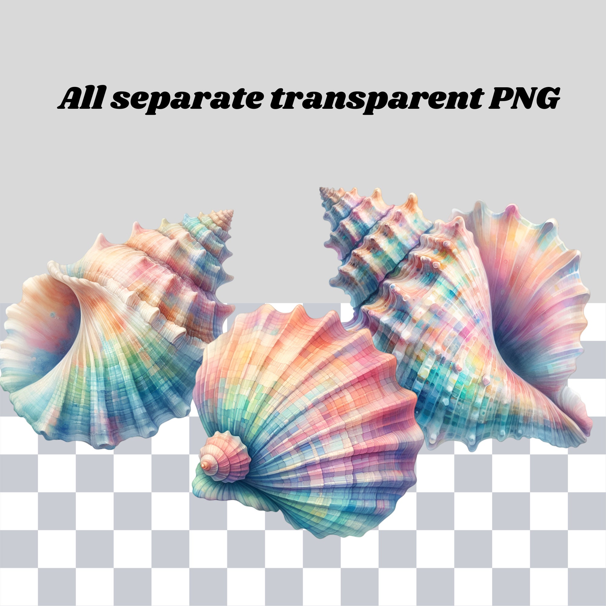 Seashell PNG 21 Seashell Clipart PNG Files, Transparent Background, 300 ...