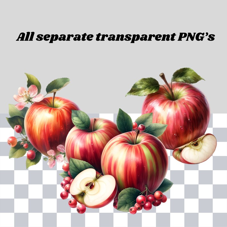 Apple Clipart – 21 PNG Files, Transparent Background (digital Download ...