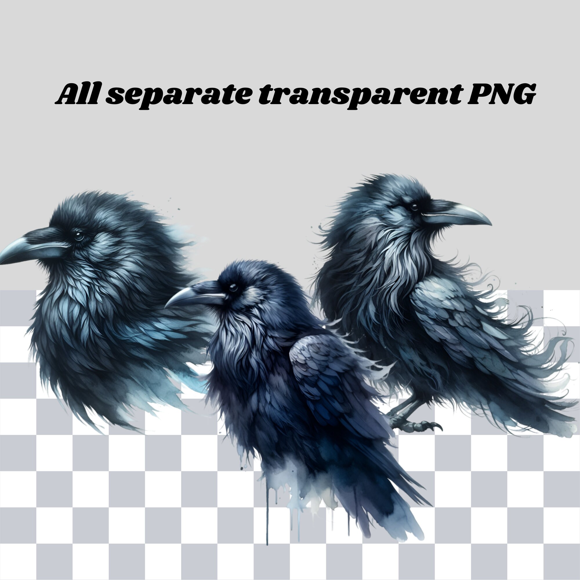 Raven PNG 21 Raven Clipart PNG Files, Transparent Background, 300 DPI ...