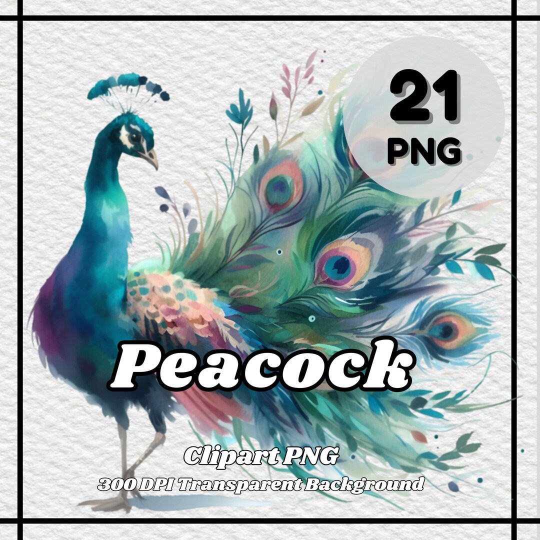 Peacock PNG - 21 Peacock Clipart - PNG Files, Transparent Background ...