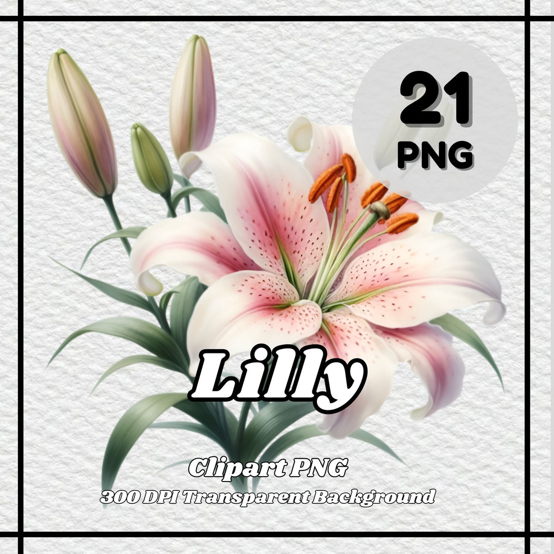 Lilly PNG - 21 Lilly Clipart - PNG Files, Transparent Background, 300 ...