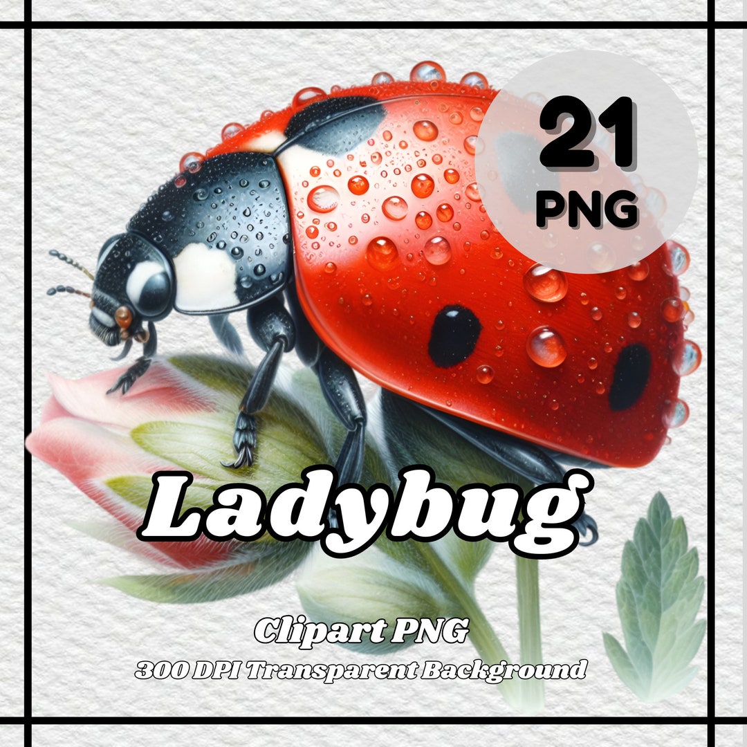 Ladybug PNG - 21 Ladybug Clipart - PNG Files, Transparent Background ...