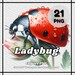 Ladybug PNG - 21 Ladybug Clipart - PNG Files, Transparent Background ...