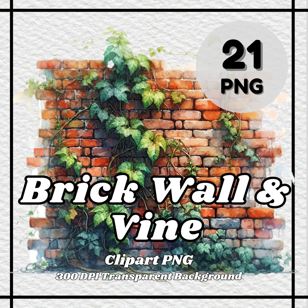 Vine PNG - 21 Vine Clipart - PNG Files, Transparent Background, 300 DPI ...