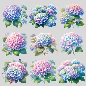 Hydrangea PNG - 21 Hydrangea Clipart - PNG Files, Transparent ...