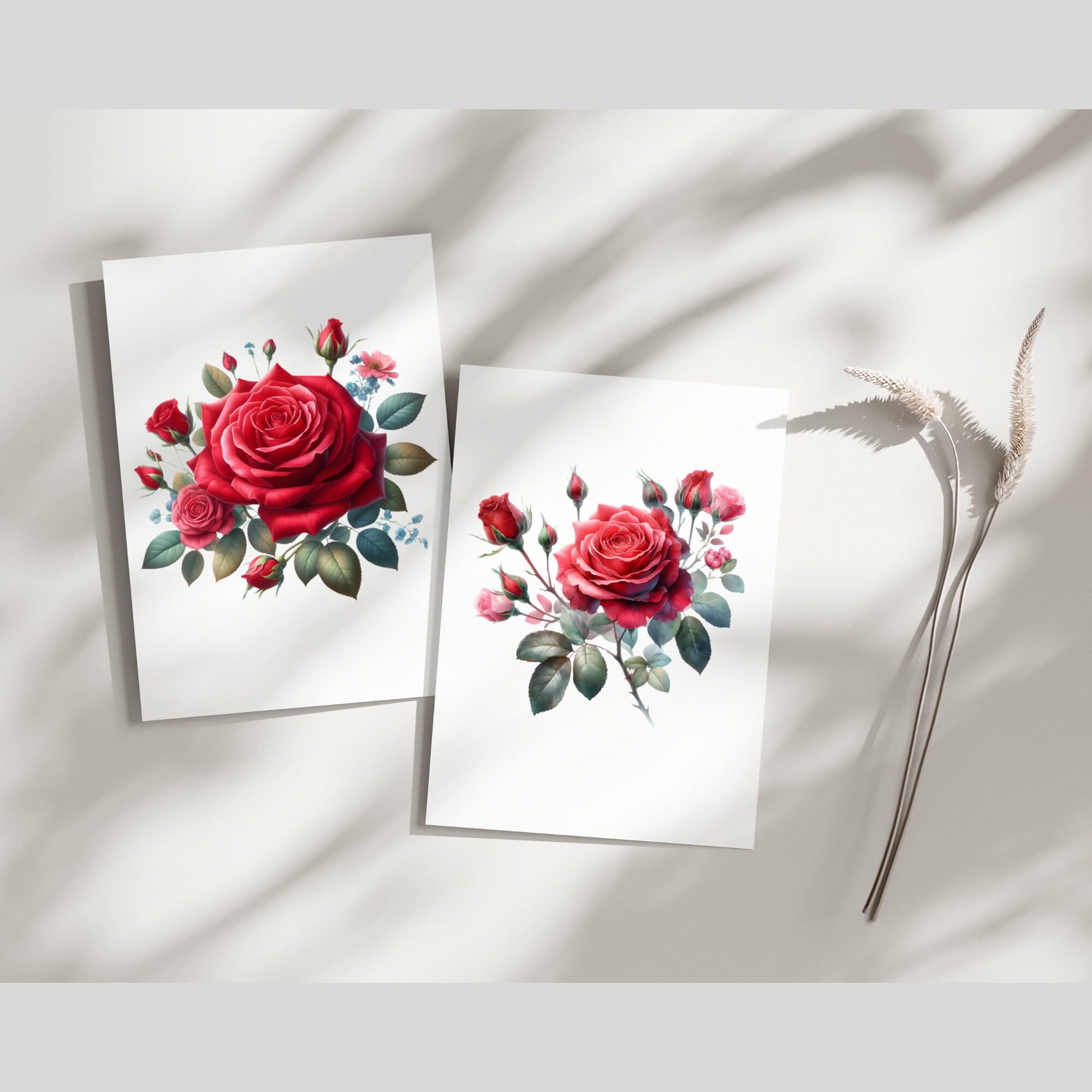 Red Rose PNG - 21 Red Rose Clipart - PNG Files, Transparent Background ...