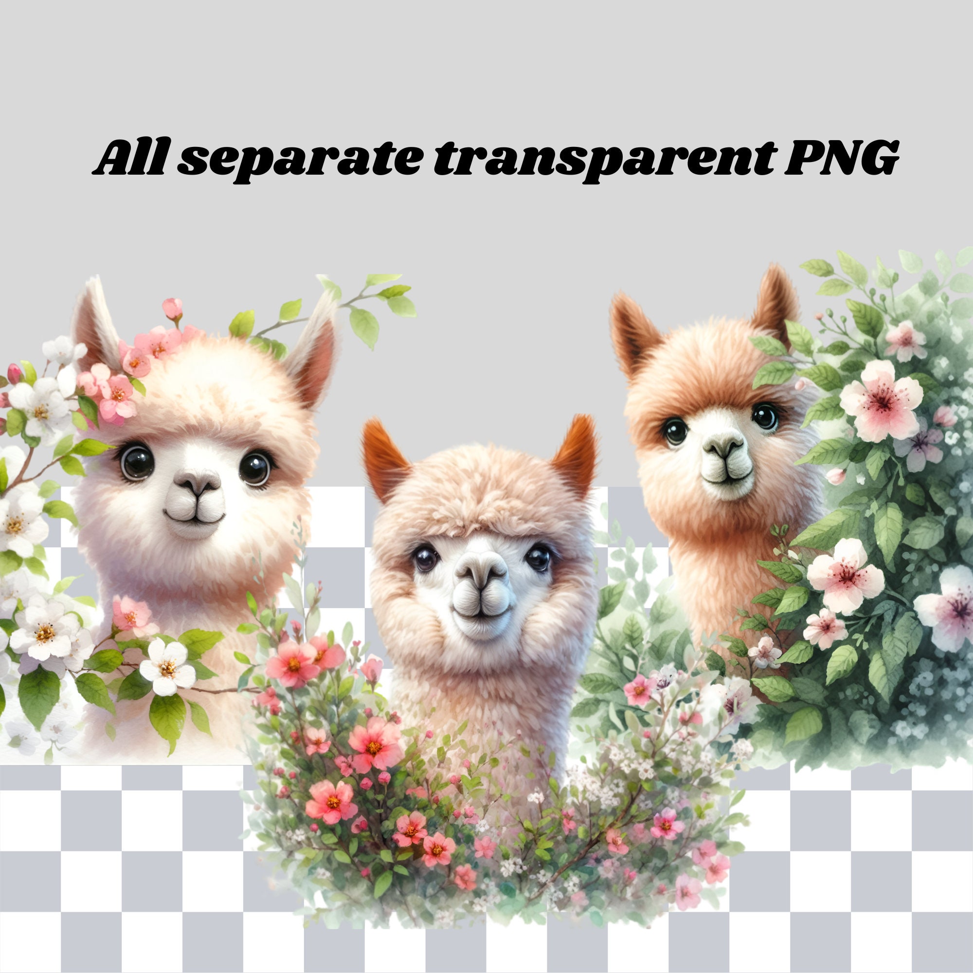 Alpaca PNG - 21 Alpaca Clipart - PNG Files, Transparent Background, 300 ...