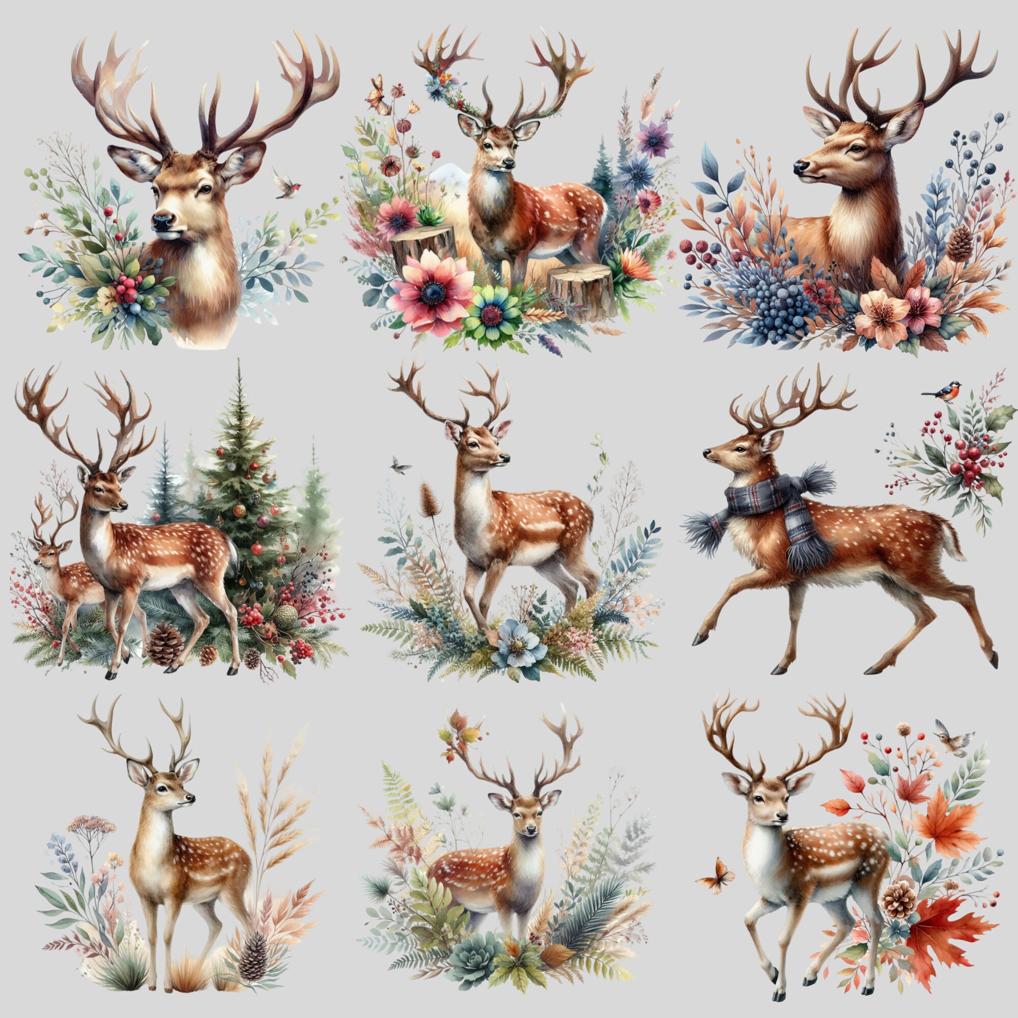 Deer PNG 21 Deer Clipart PNG Files, Transparent Background, 300 DPI ...