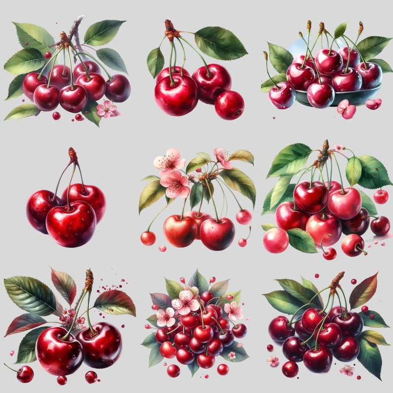 Cherry PNG - 21 Cherry Clipart - PNG Files, Transparent Background, 300 ...