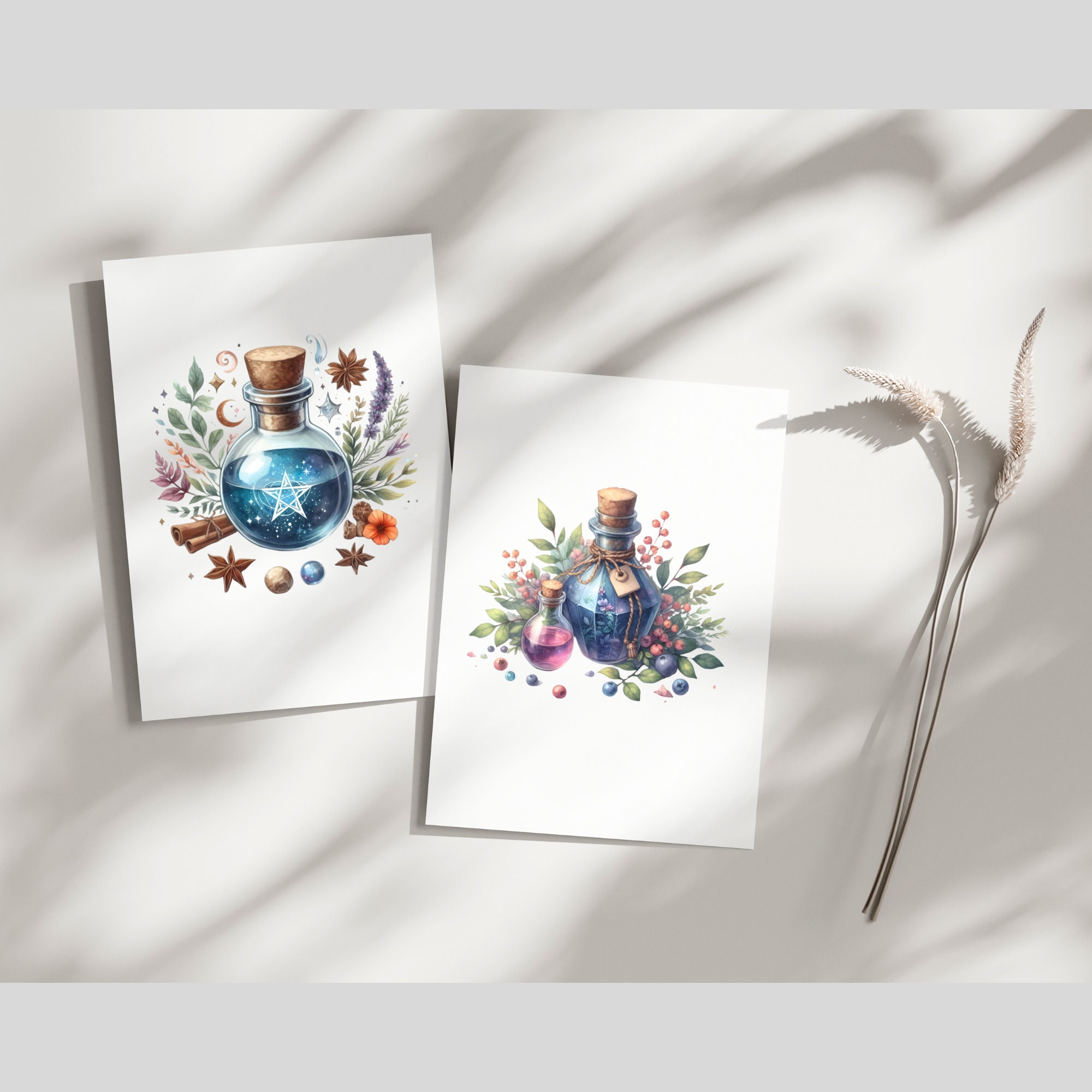 Potion PNG 21 Potion Clipart PNG Files, Transparent Background, 300 DPI ...