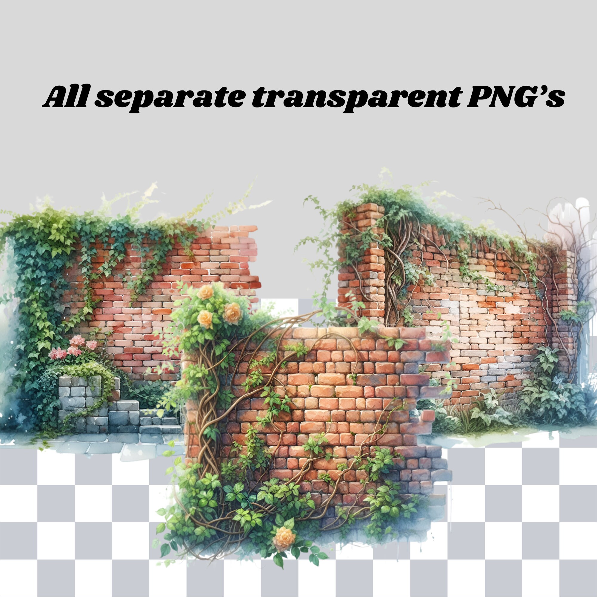 Vine PNG 21 Vine Clipart PNG Files, Transparent Background, 300 DPI ...