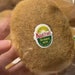 Squishable Kiwi Fruit Taba Squishy - Realistic Fruit Inspired Stress ...