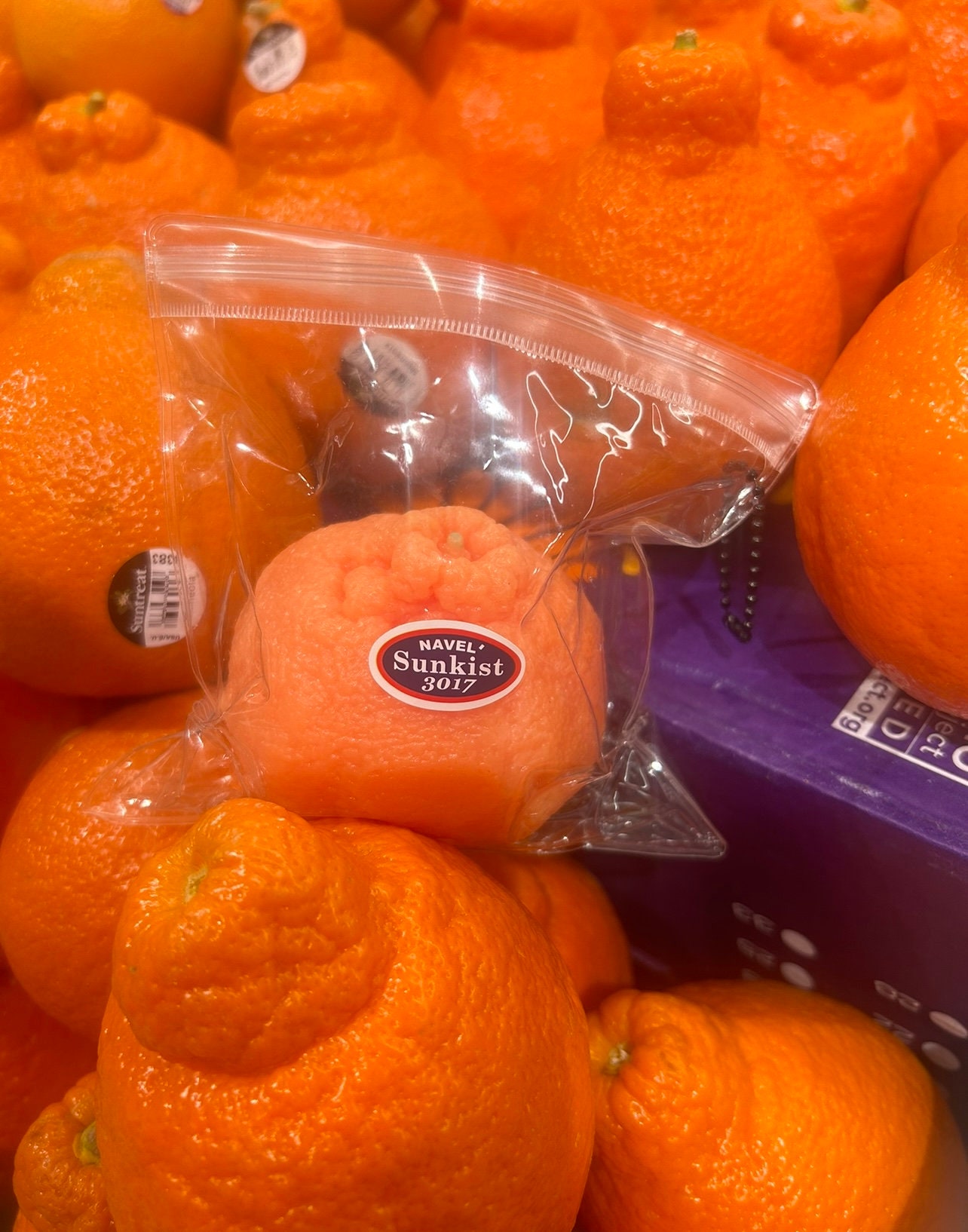 Sumo Citrus Navel Orange Taba Squishy Stress Relief Desk Buddy ...