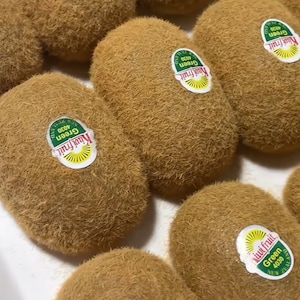 Squishable Kiwi Fruit Taba Squishy - Realistic Fruit Inspired Stress ...