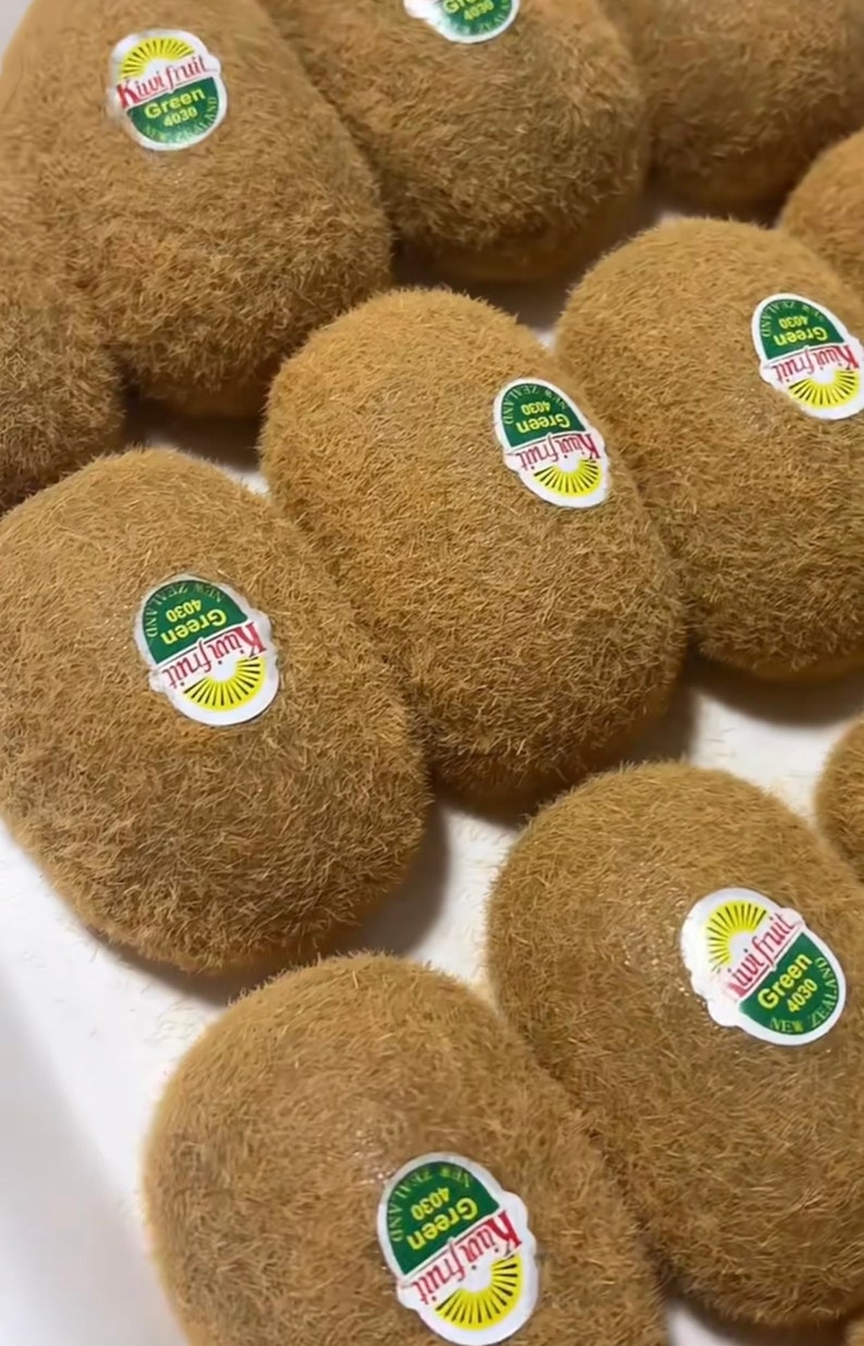 Squishable Kiwi Fruit Taba Squishy Realistic Fruit Inspired Stress ...