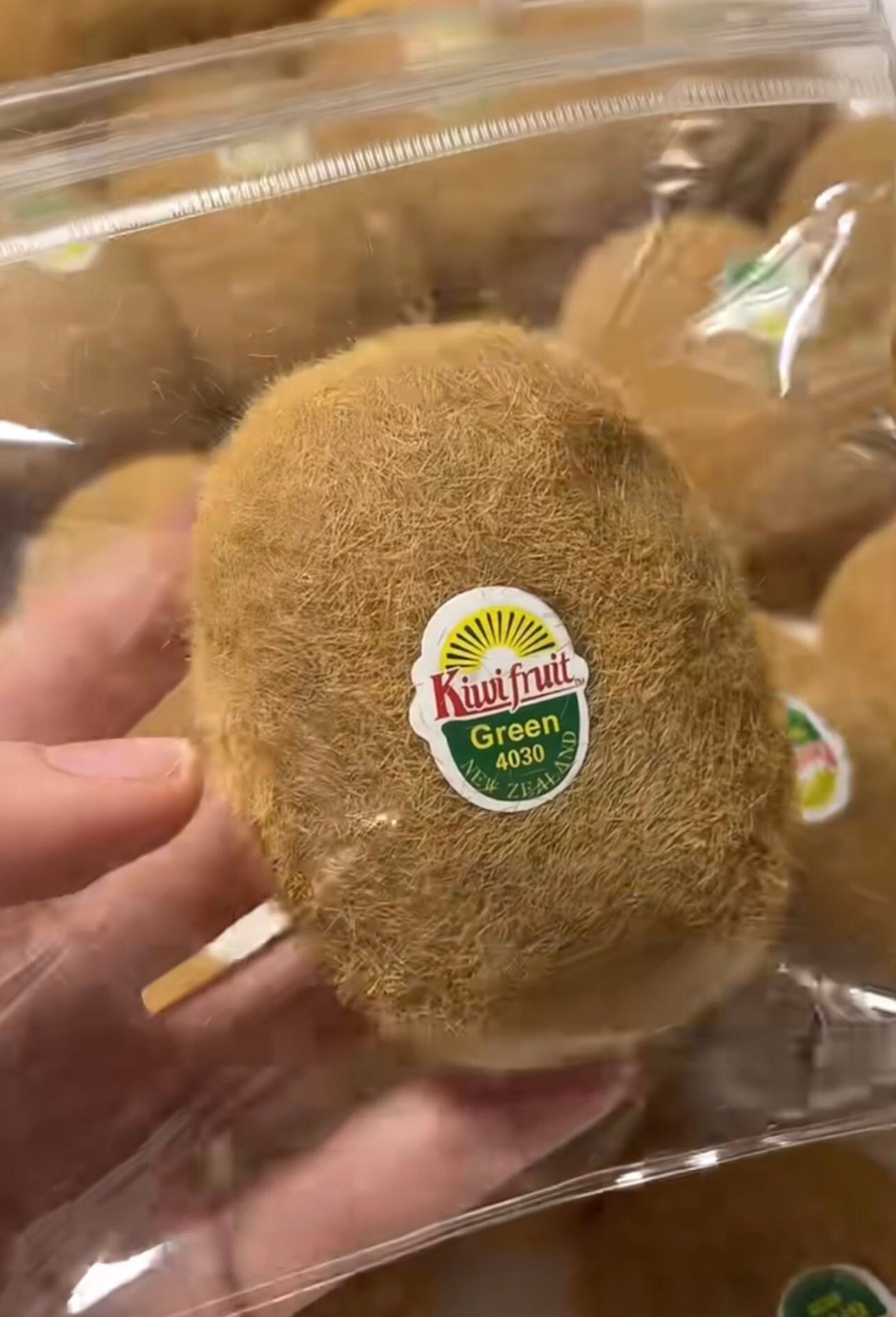 Squishable Kiwi Fruit Taba Squishy - Realistic Fruit Inspired Stress ...