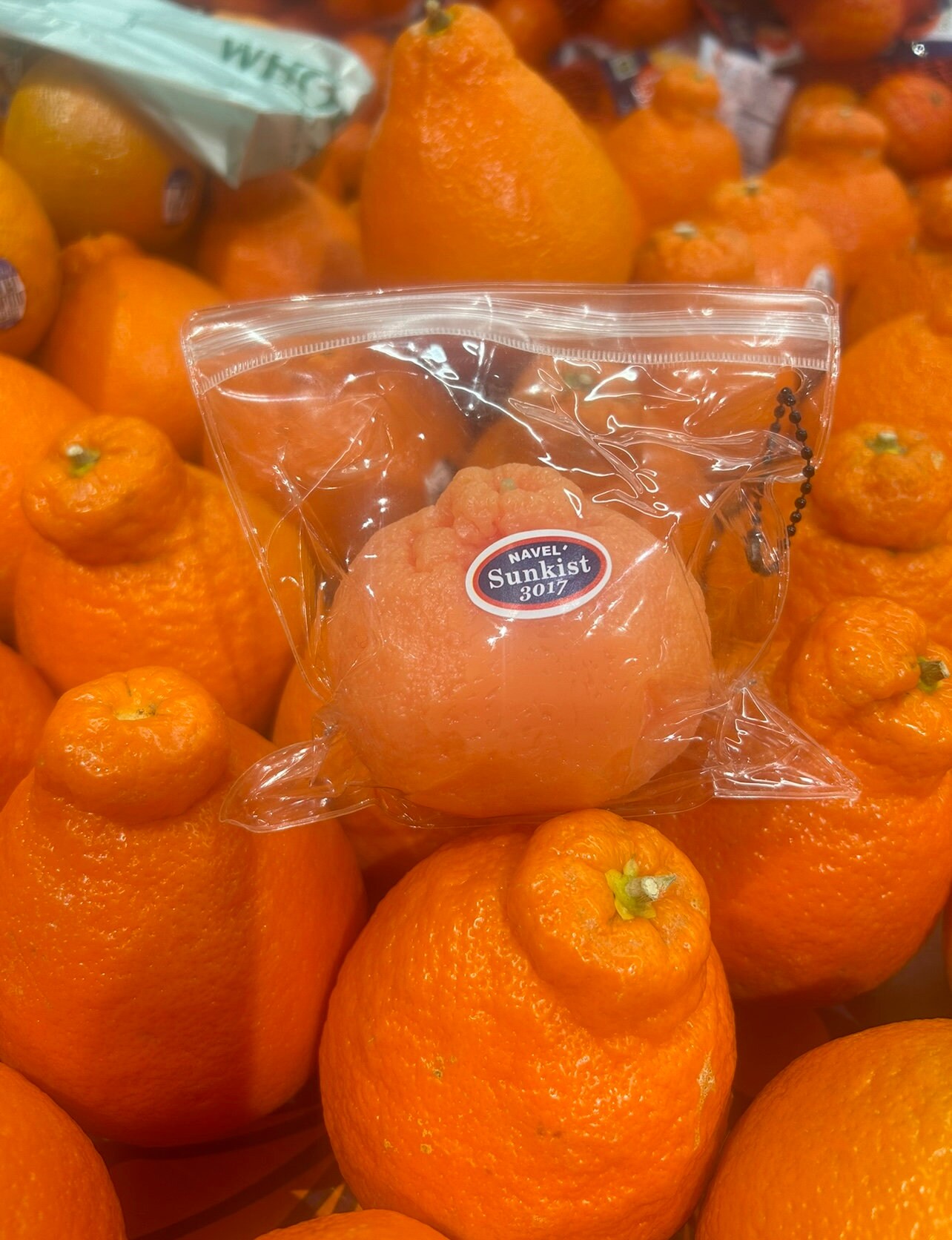 Sumo Citrus Navel Orange Taba Squishy Stress Relief Desk Buddy ...