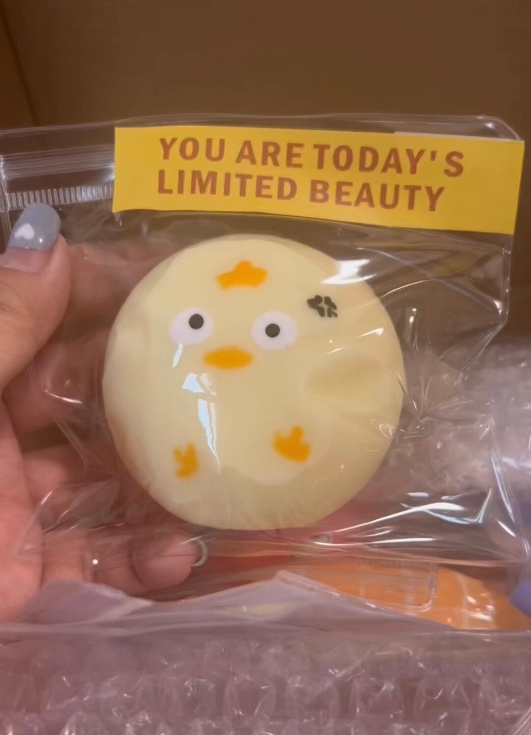 Angry Chick Taba Squishy Toy, Simple Hand Painted, Funny Gift, Cute ...
