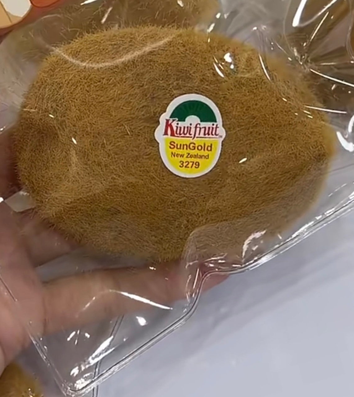 Squishable Kiwi Fruit Taba Squishy Realistic Fruit Inspired Stress ...