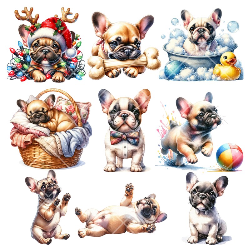 Watercolor French Bulldog Clipart Cute Frenchie Dogs and Puppies for ...