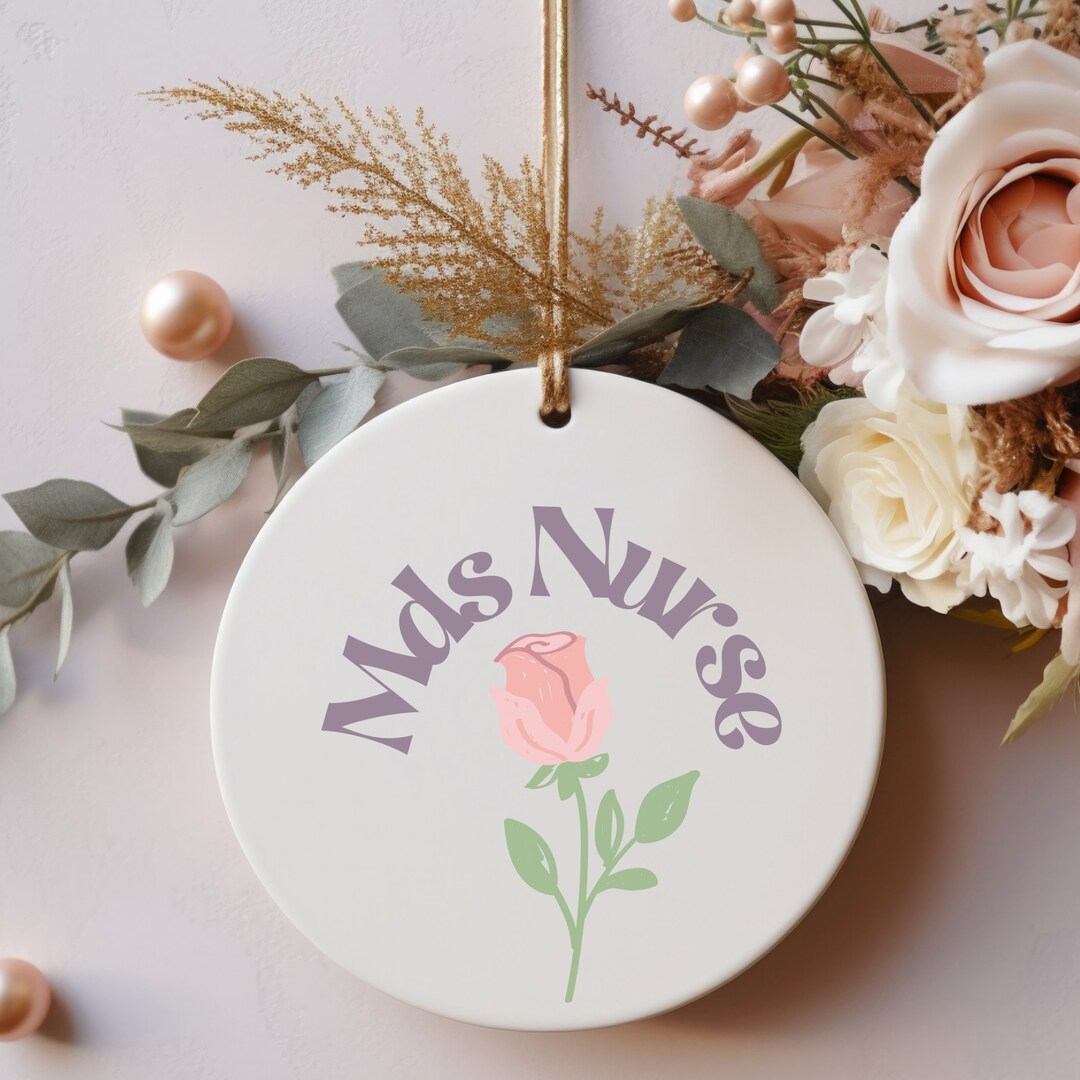 MDS Nurse Ornament Gift for MDS Nurse Gift for RN Minimum Data Set ...