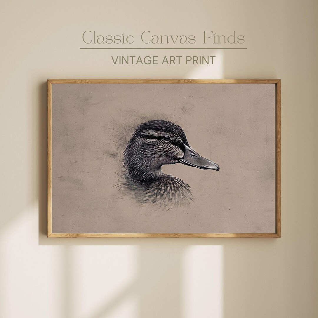 Vintage Duck Art Print | Antique Bird Illustration | Rustic Farmhouse ...