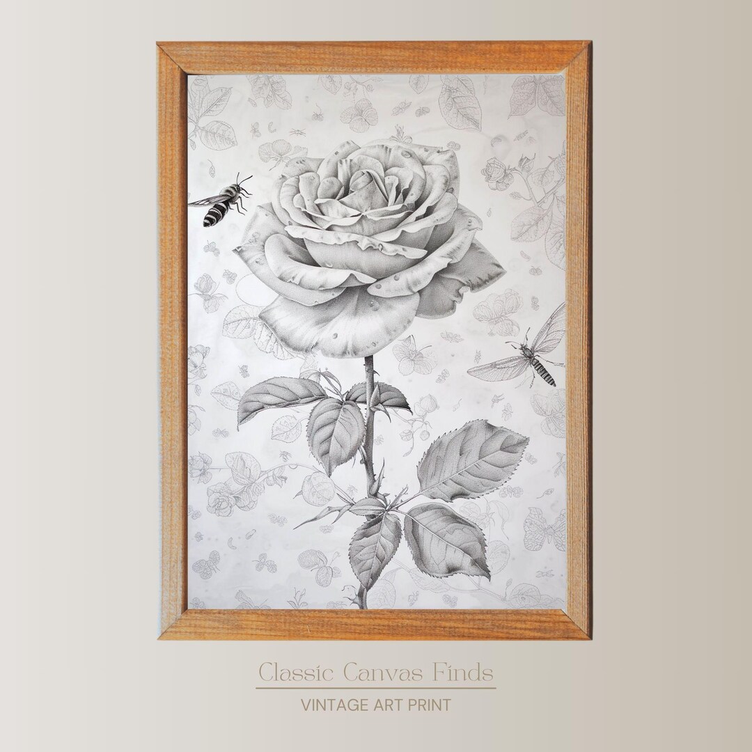 Detailed Rose Drawing Digital Print, Black and White Floral Art ...