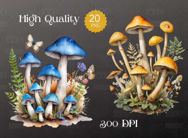 Watercolor Mushroom Clipart, 20 PNG File, Cute Mushrooms Group With ...