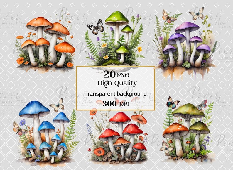 Watercolor Mushroom Clipart, 20 PNG File, Cute Mushrooms Group With ...