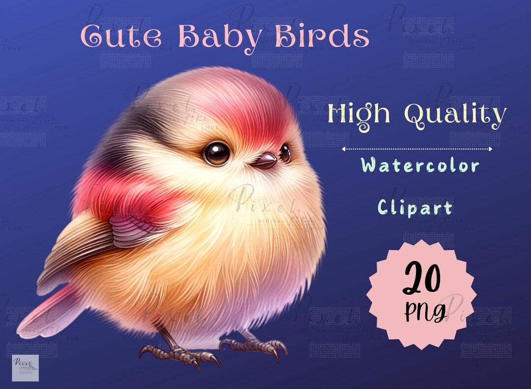 Cute Baby Birds Clipart - Watercolor, Pngs, Cute Birds, Fantasy Clipart ...