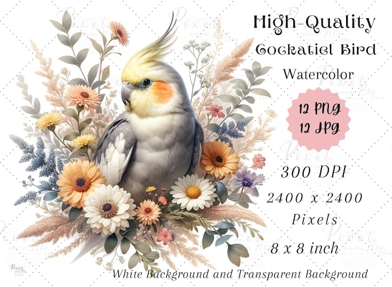 Watercolor Cockatiel Clipart: Floral Bird Art (digital Download) - Etsy