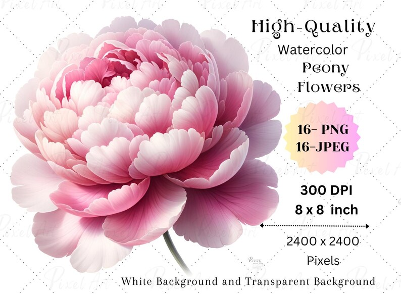 Watercolor Peony Clipart: Floral PNG & JPEG Files, Commercial Use ...