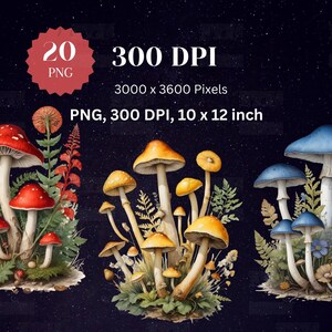 Watercolor Mushroom Clipart, 20 PNG File, Cute Mushrooms Group With ...