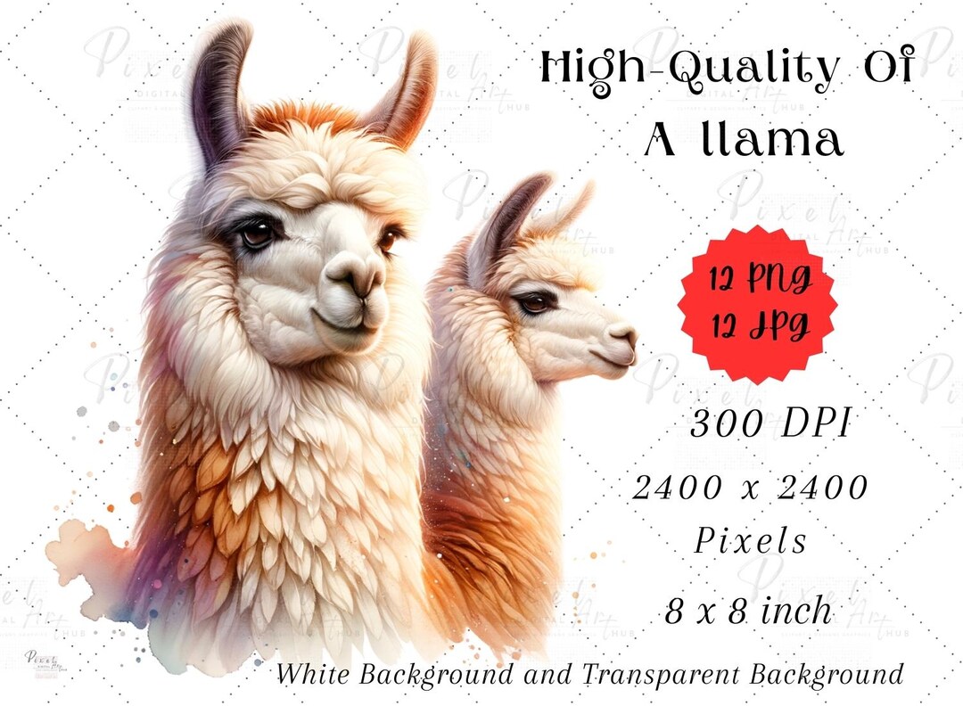 Watercolor A Cute Llama, Clipart, Adorable Llama, Files, 12 JPEG- 12 ...
