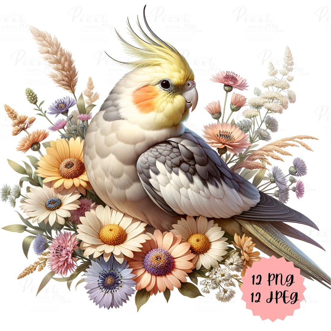 Watercolor Cockatiel Bird Clipart and Posters, Beautiful Cockatiel Bird ...