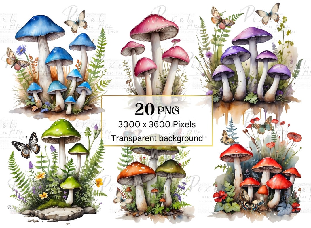 Watercolor Mushroom Clipart, 20 PNG File, Cute Mushrooms Group With ...
