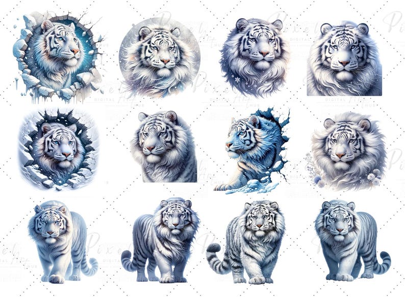 Watercolor White Tiger Clipart: PNG, JPG Files (digital Download) - Etsy