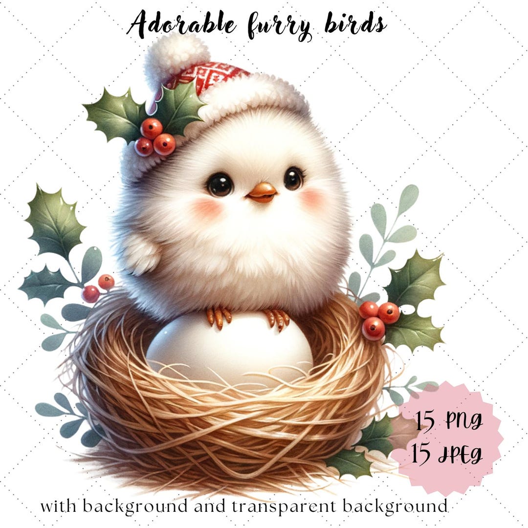 Adorable Furry Birds Clipart - Posters Watercolor, 15 PNG, 15 JPEG ...