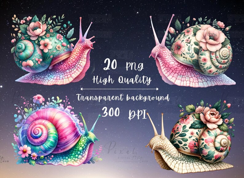 Watercolor Floral Snail Clipart: Fantasy PNG Collection (digital ...