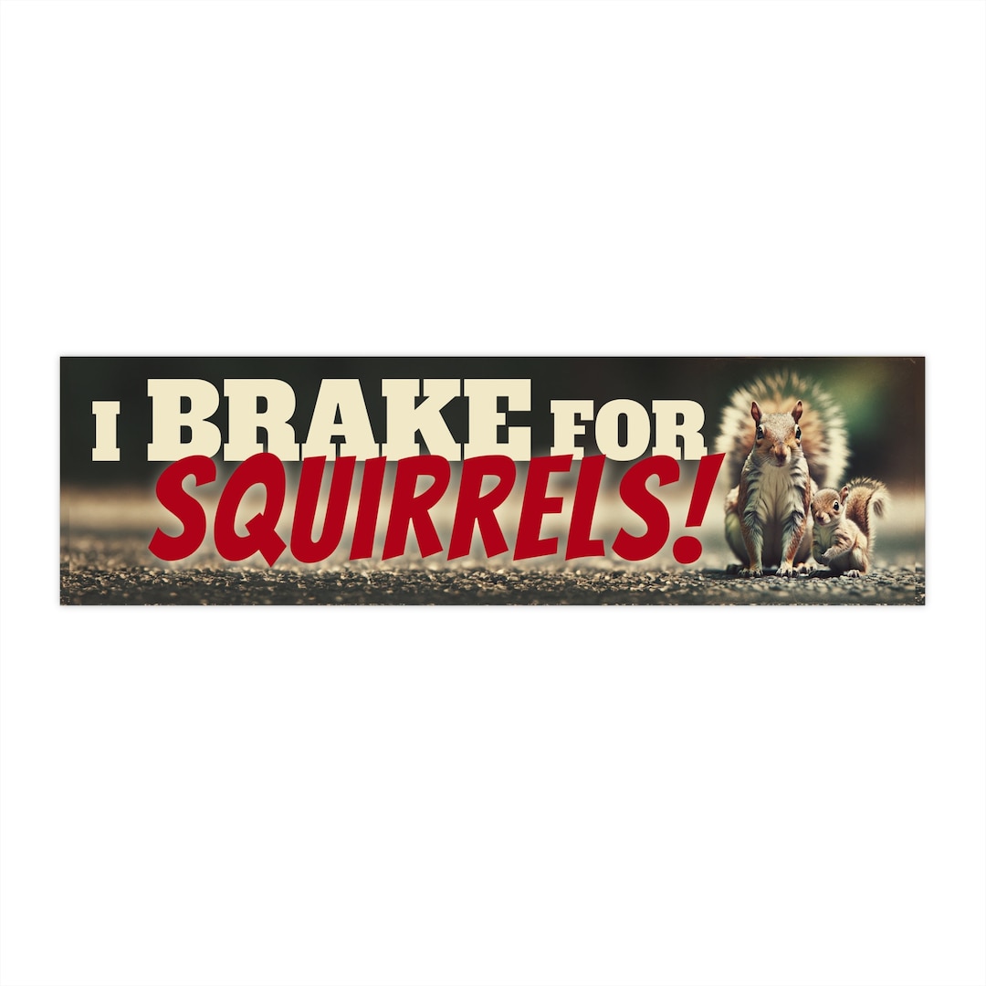 I Brake for Squirrels Bumper Sticker - Funny Squirrel Lover Gift - Etsy