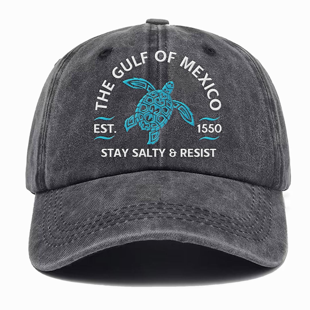 Gulf of Mexico Stay Salty Resistance Embroidered Hat, Subtle Political ...