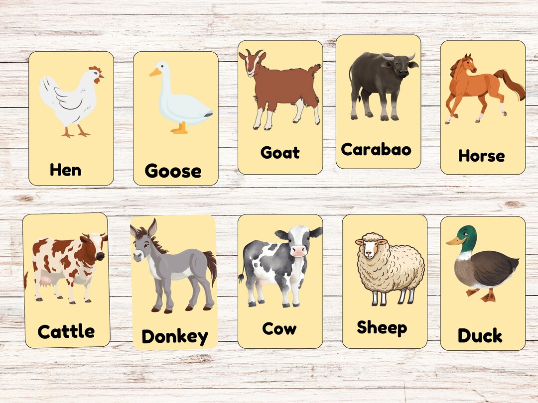 Explore the Farm: Interactive Flash Cards for Kids Learn Animals - Etsy