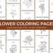 Flower Coloring Pages Printable Pdf File Instant Download - Etsy