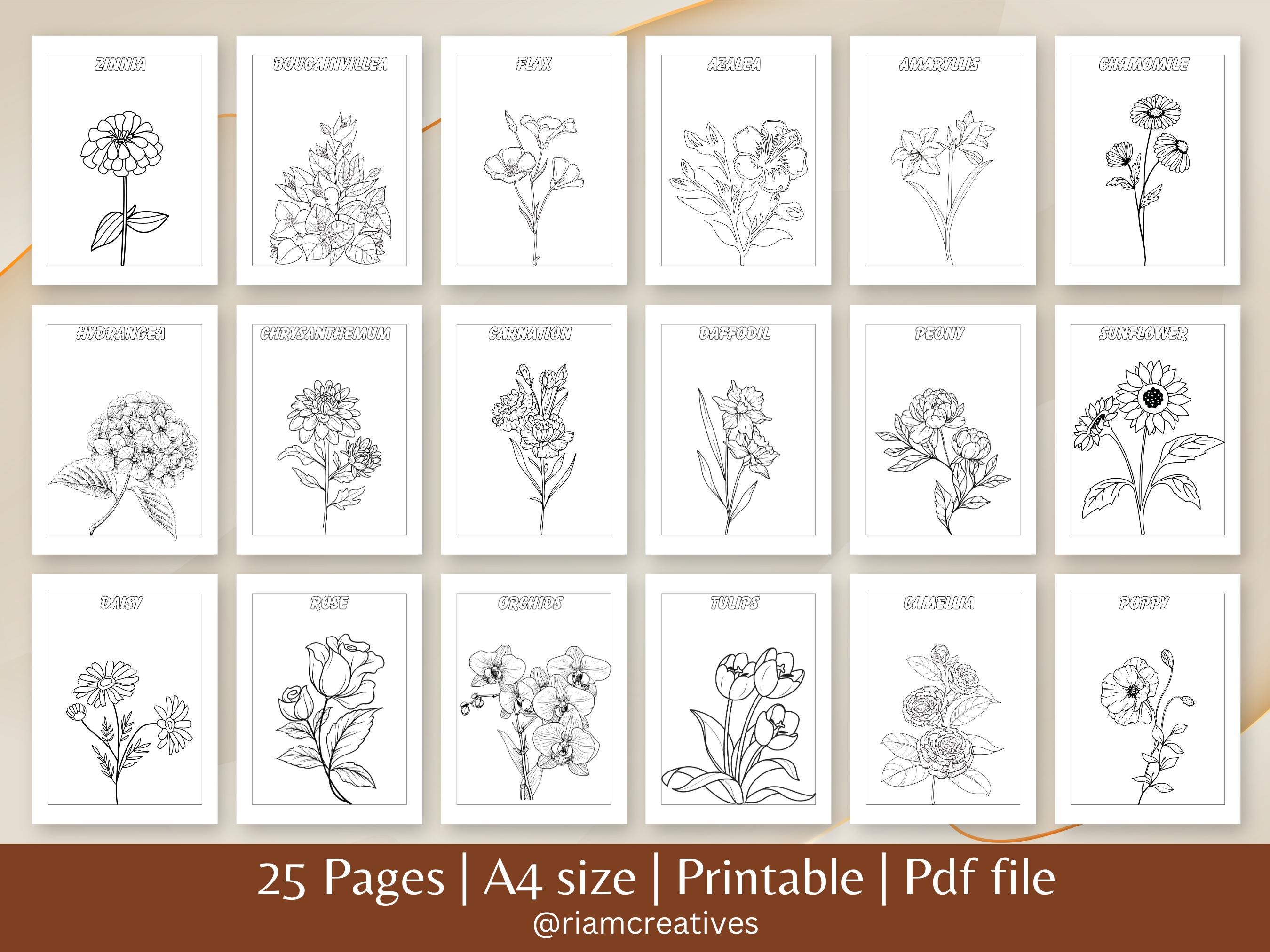Flower Coloring Pages Printable Pdf File Instant Download - Etsy
