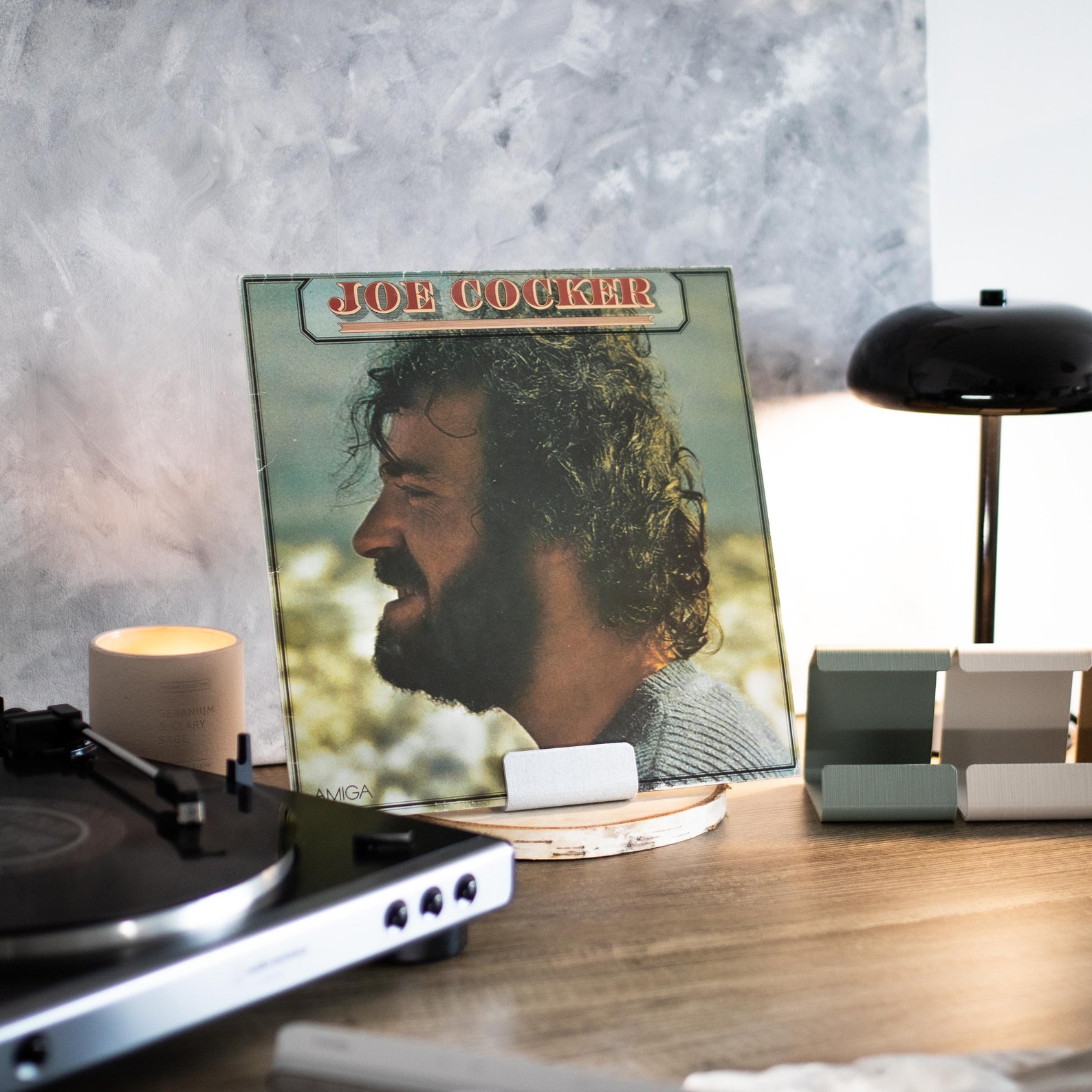 Vinyl Record Stand, Freestanding LP Display, Desk Vinyl Record Stand ...