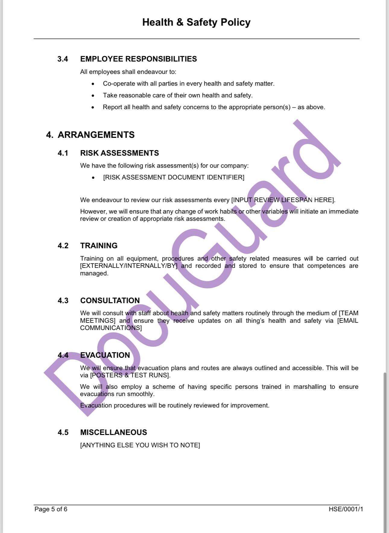 Health and Safety Policy Template - Etsy