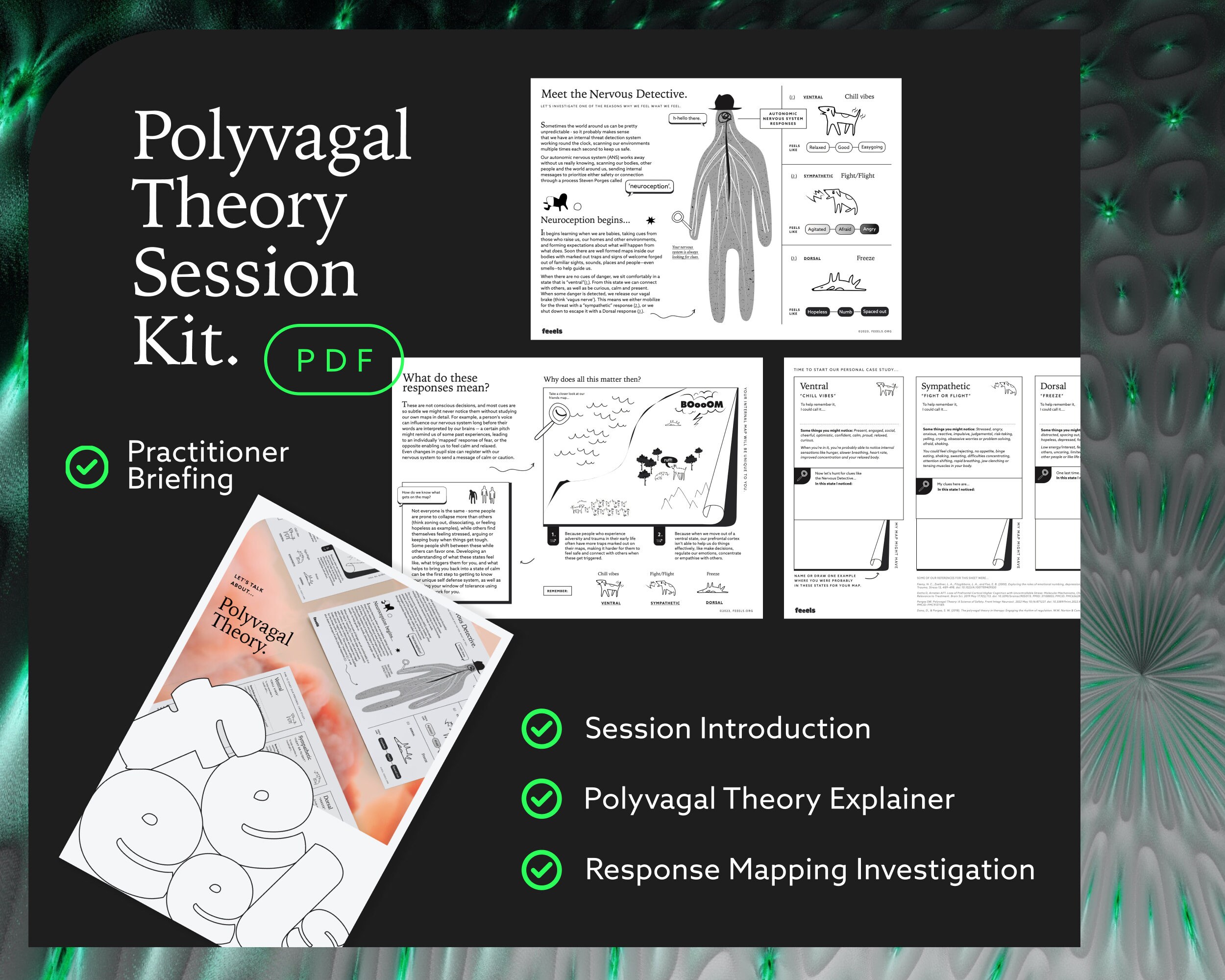 Polyvagal Theory Session Kit - Etsy